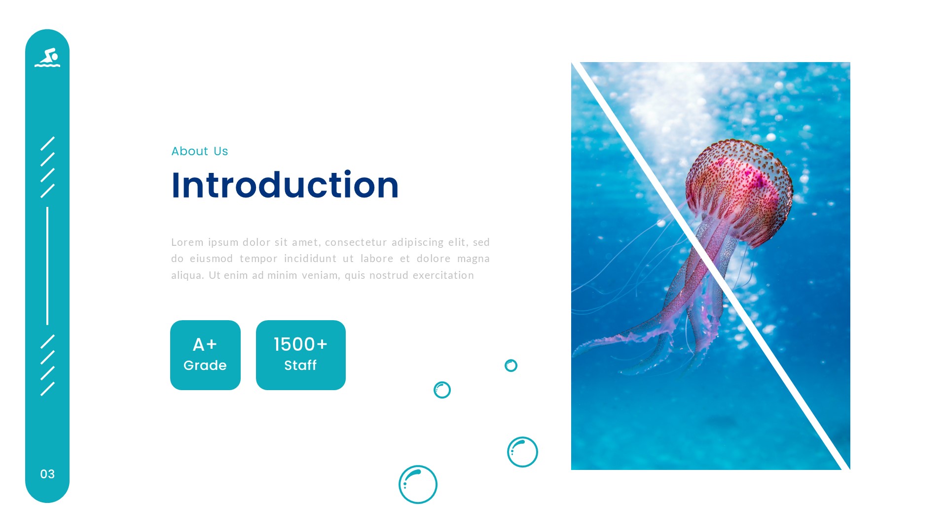 Delta - Ocean And Sea Presentation PowerPoint Template, Presentation ...