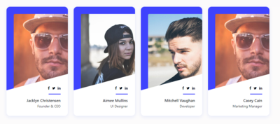 Profile Cards - The Ultimate Bootstrap Profile Cards by TechFuturix