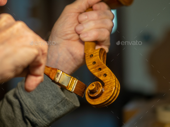 senior experienced luthier varnishing classic italian handmade violin ...