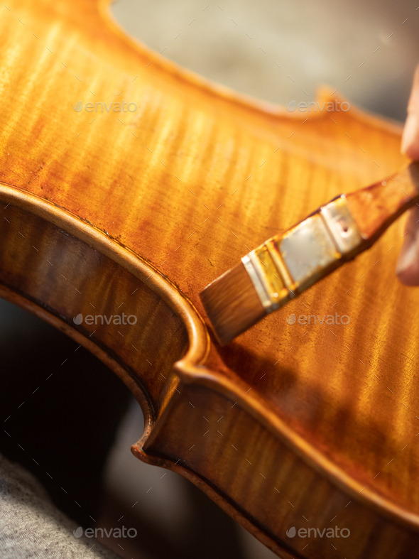 senior experienced luthier varnishing classic italian handmade violin ...