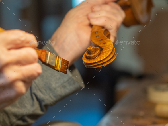 senior experienced luthier varnishing classic italian handmade violin ...