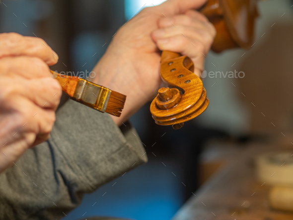 senior experienced luthier varnishing classic italian handmade violin ...