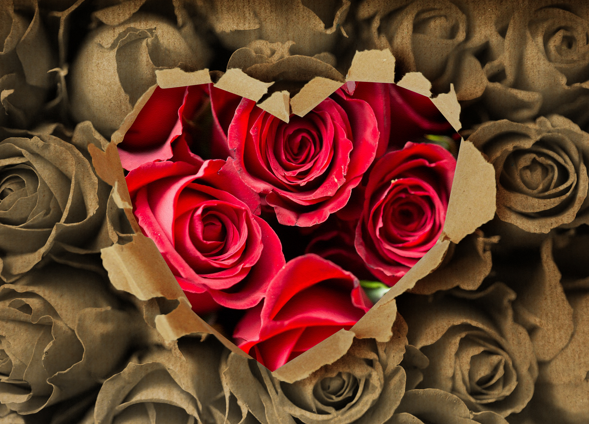 Love Torn Paper Photo Effect Photoshop Template, Add-ons | GraphicRiver