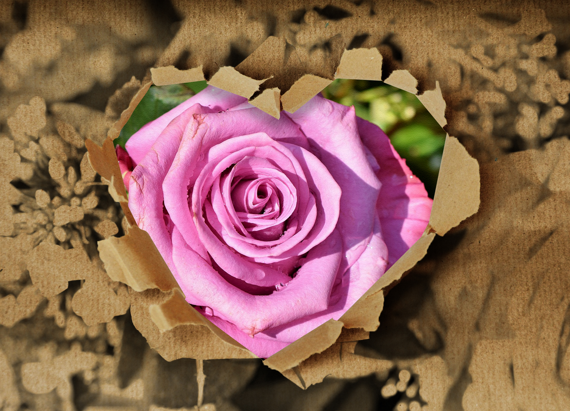 Love Torn Paper Photo Effect Photoshop Template, Add-ons | GraphicRiver