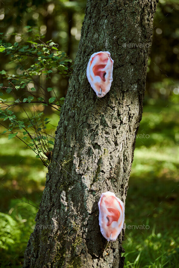 Art object of human ear on tree trunk in green forest background, trees ...