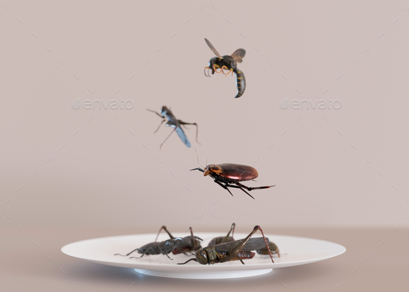 Edible insects on a plate. Crickets as snack, good source of protein ...