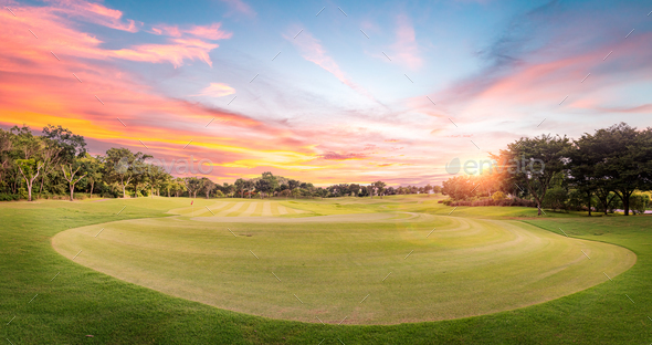 beautiful view landscape in morning time green grass at golf course ...