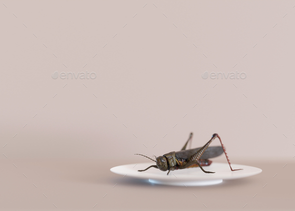 Edible insects. Crickets as snack, good source of protein. Copy space ...