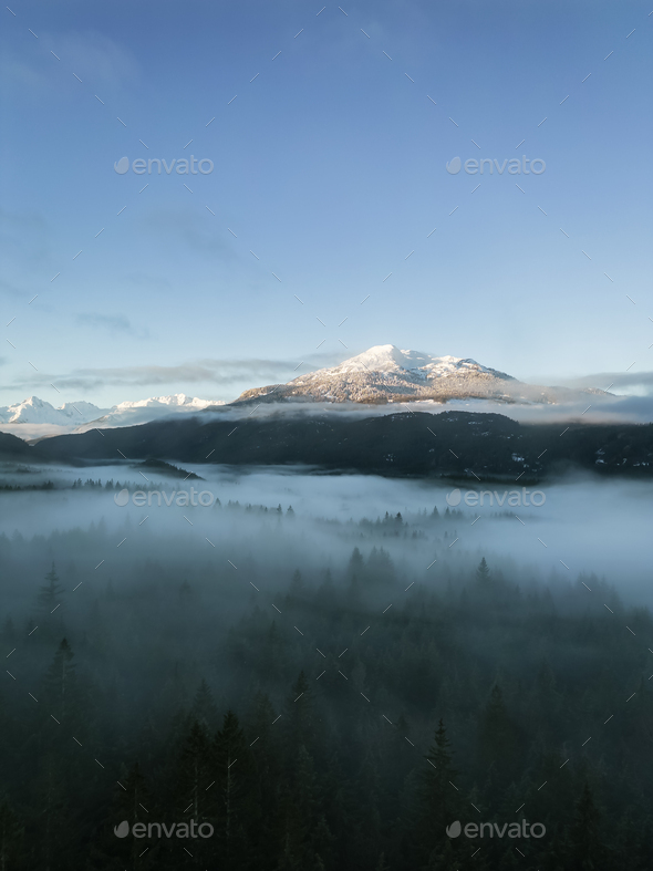 Green Trees in Forest with Fog and Mountains. Sunrise. Canadian Nature ...