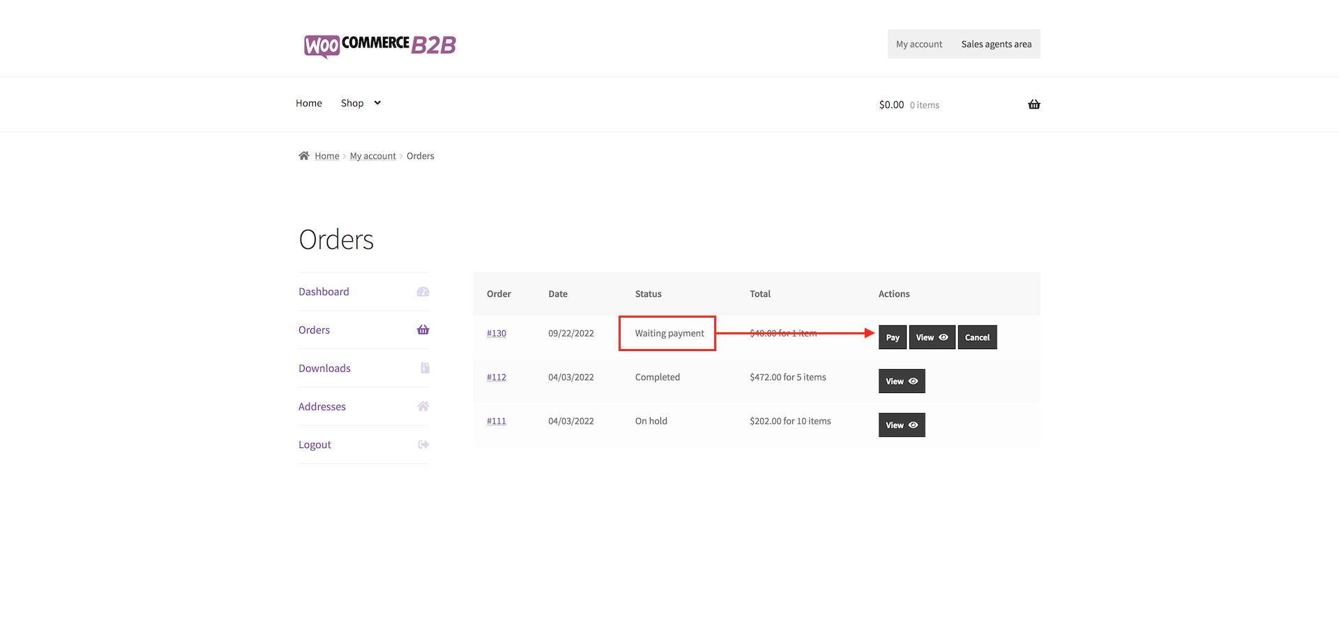 WooCommerce B2B Sales Agents by code4lifeitalia | CodeCanyon