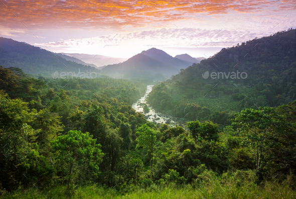 River on Sri Lanka Stock Photo by Galyna_Andrushko | PhotoDune