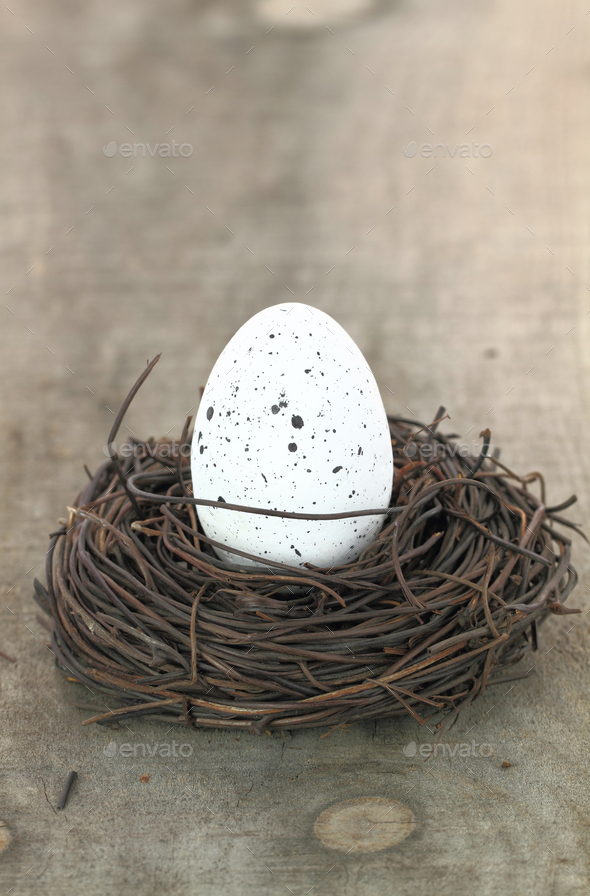 White egg in the nest Stock Photo by rawf8 | PhotoDune