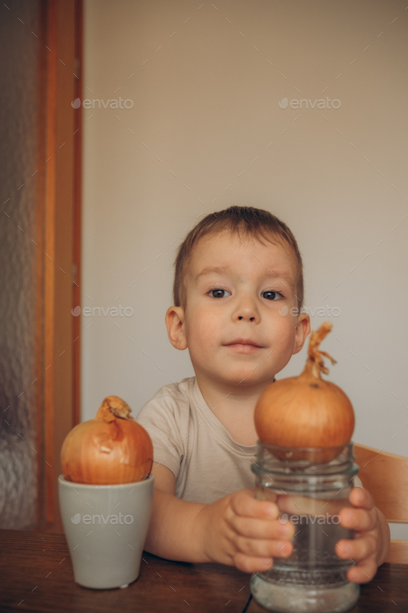 Spring gardening. Planting onions. Activities at home. Knowledge of ...