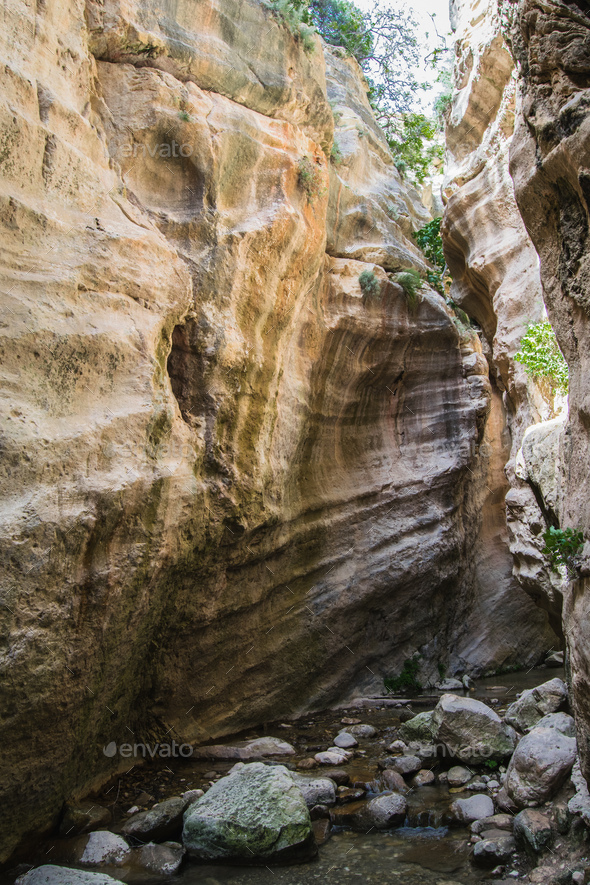 Avakas Gorge. Beautiful canyon in Cyprus. Stock Photo by Tashulia ...