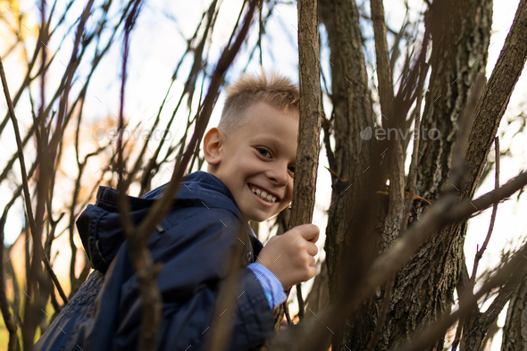 portrait of a cheerful boy gathering on a tree between branches Stock ...
