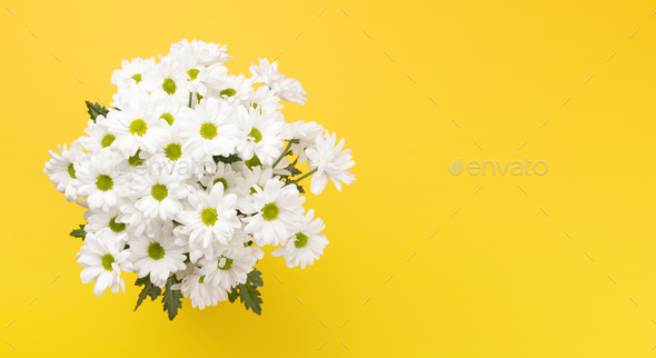 White daisy flowers bouquet Stock Photo by karandaev | PhotoDune