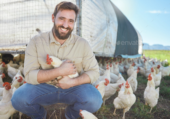 Chicken, portrait and farmer on livestock farm for sustainable ...