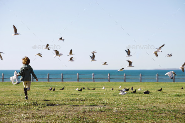 Little boy running in park chasing birds playful child enjoying ...