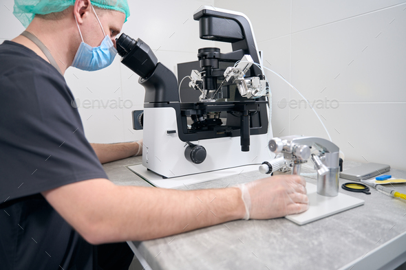Embryologist behind the procedure of fertilization of the egg Stock ...