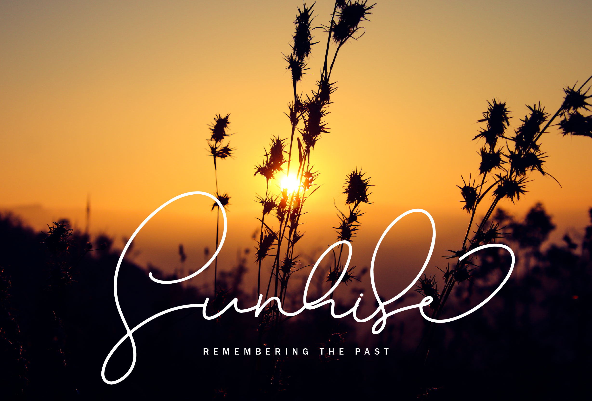 Australlia - a Signature Font, Fonts | GraphicRiver