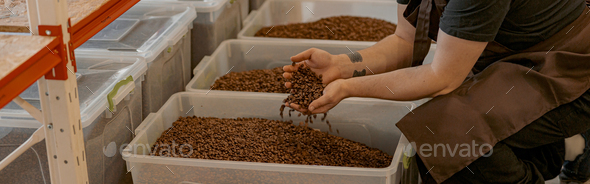 Smiling Male barista in uniform inspection freshly roasted coffee beans ...