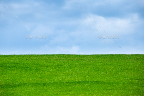 Image of green grass field and bright blue sky Stock Photo by freedomnaruk