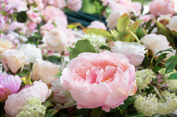 Beautiful background of pink peonies, roses and branches in the garden ...