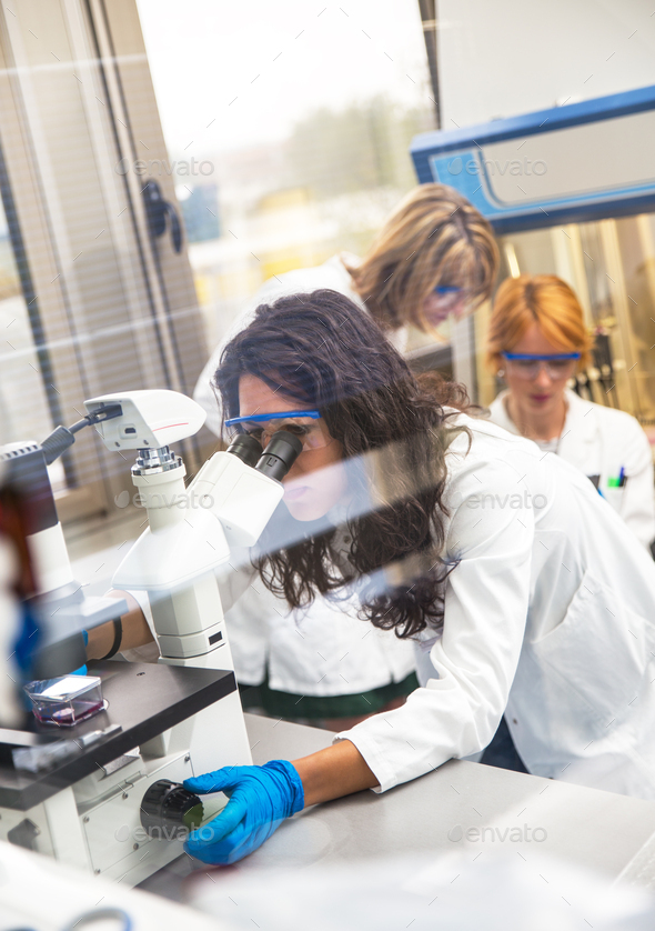 Photo of real female scientists looking into a microscope at laboratory ...