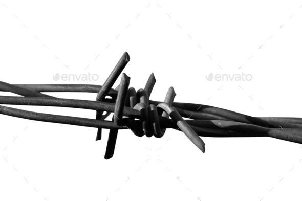 barbed wire Stock Photo by safakc1 | PhotoDune