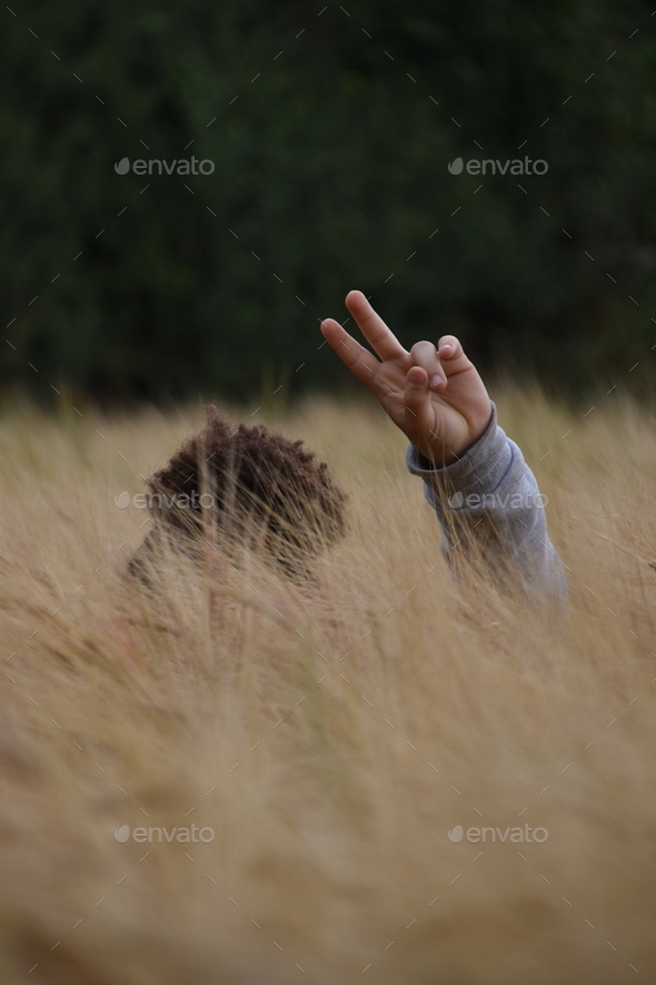 child hand signing the peace sign in a field of wheat grain Stock Photo ...