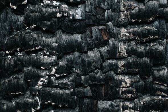 Dark charcoal texture, burnt wood background closeup Stock Photo by SergioPhotone