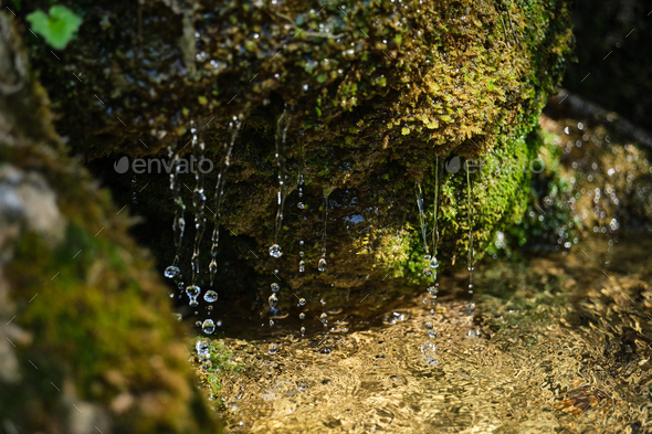 jets of water falling on rock full of green moss with movement of drops ...