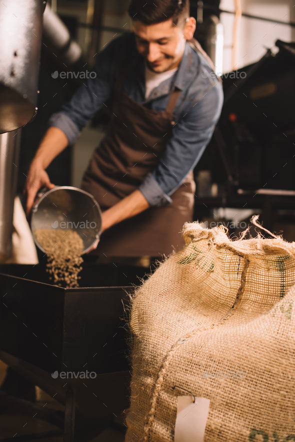 selective focus of coffee roaster pouring coffee beans into roasting ...