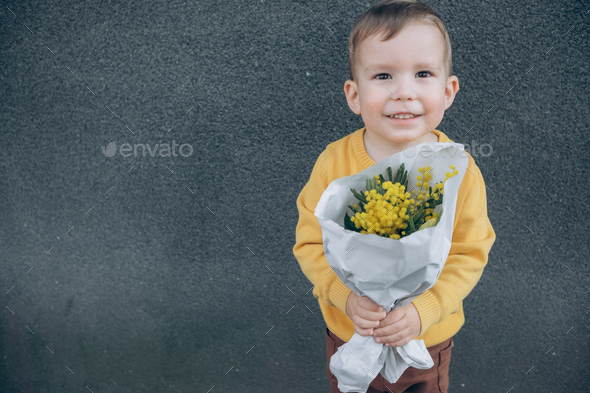 Cute little boy holding a bouquet of mimosa. Mimosa in children's hands ...