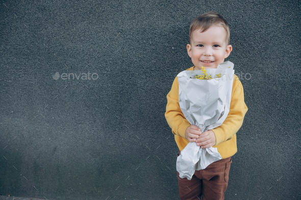 Cute little boy holding a bouquet of mimosa. Mimosa in children's hands ...