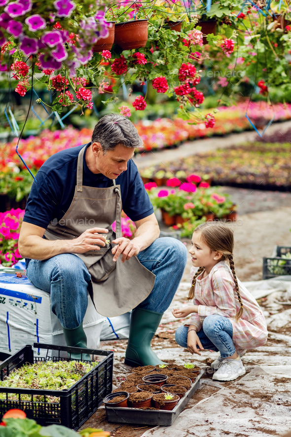 Male florist teaches his daughter how to plant flowers at plant nursery ...