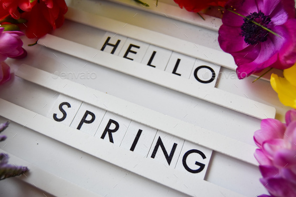 Spring themed background Stock Photo by fsyfe | PhotoDune