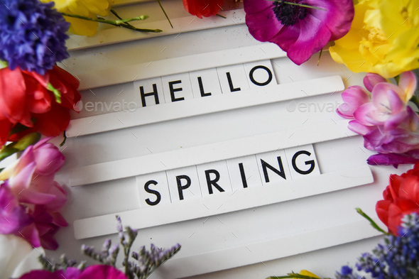 Spring themed background Stock Photo by fsyfe | PhotoDune