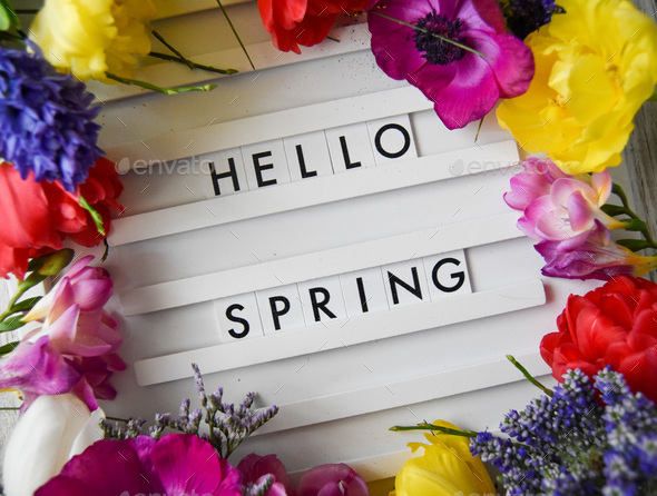Spring themed background Stock Photo by fsyfe | PhotoDune