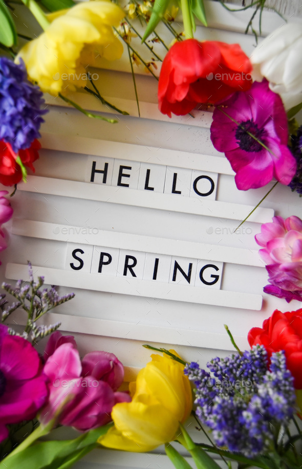 Spring themed background Stock Photo by fsyfe | PhotoDune