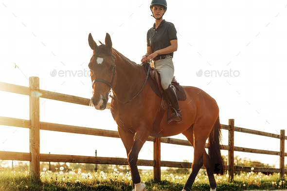 Professional Equestrian Riding a Docile Thoroughbred Outdoors Stock ...