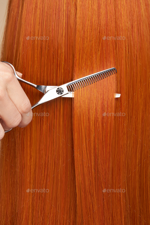 Hairdresser cuts long red hair with scissors Stock Photo by heckmannoleg