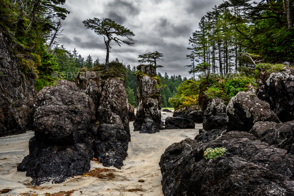 Rocks surrounded by greenery in the Cape Scott Provincial Park in ...
