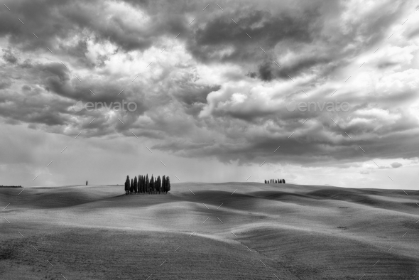 Beautiful grayscale scenery of a landscape - perfect for background ...