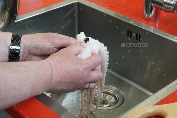 Closeup of hands washing an octopus in the sink of the kitchen Stock ...