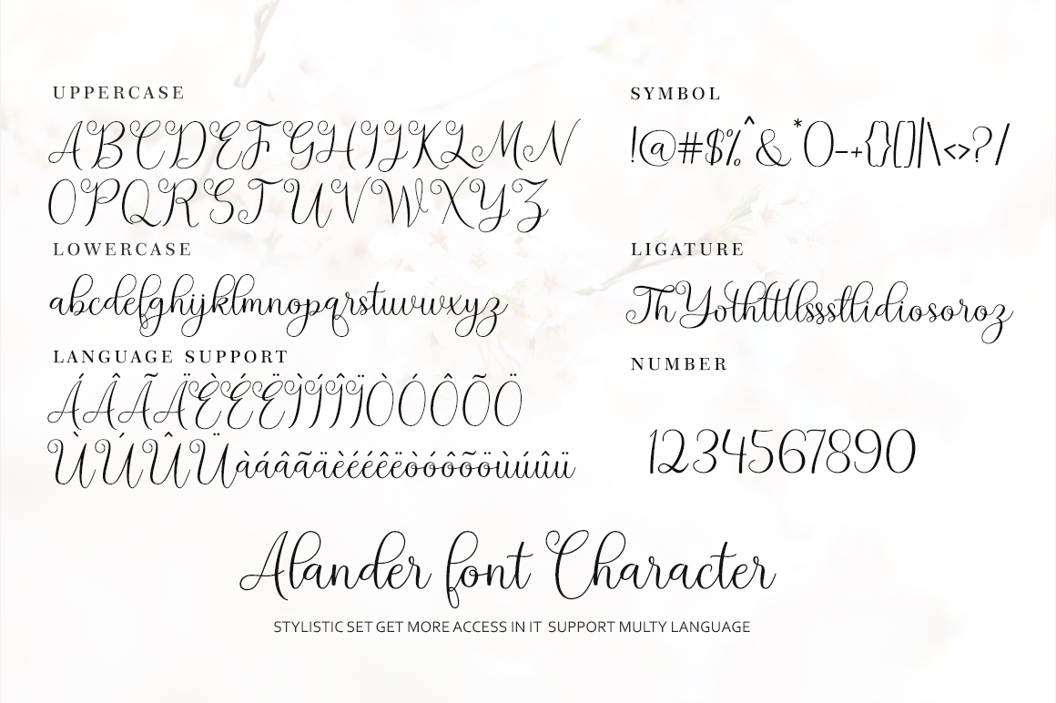 Alander script, Fonts | GraphicRiver