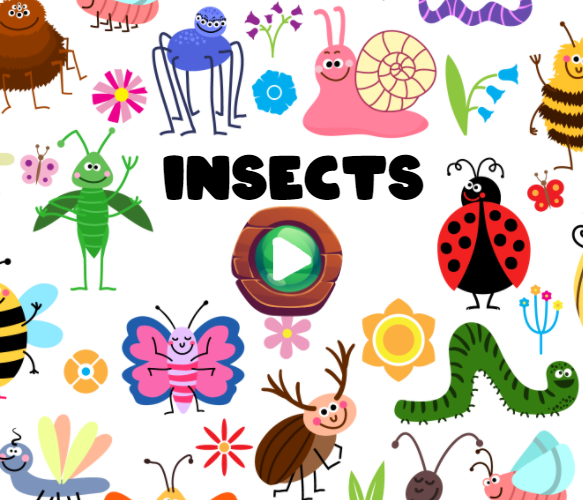 Funny insects Game | Construct 3 | HTML Game by froochka | CodeCanyon