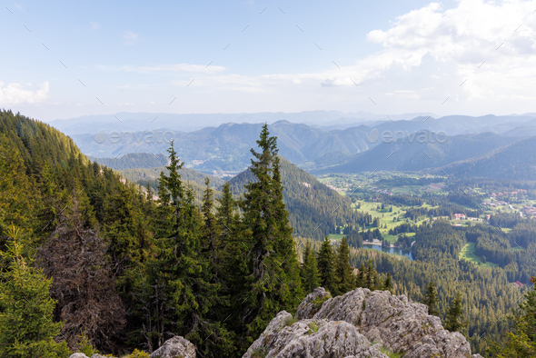 Mountain valley sheltered by vegetation and spruce forests with village ...