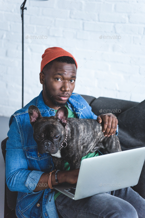 Handsome african american man working on laptop and hugging Frenchie ...