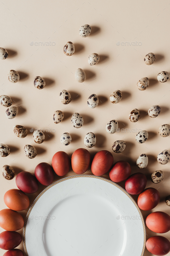 flat lay with quail and chicken easter eggs around plate Stock Photo by ...